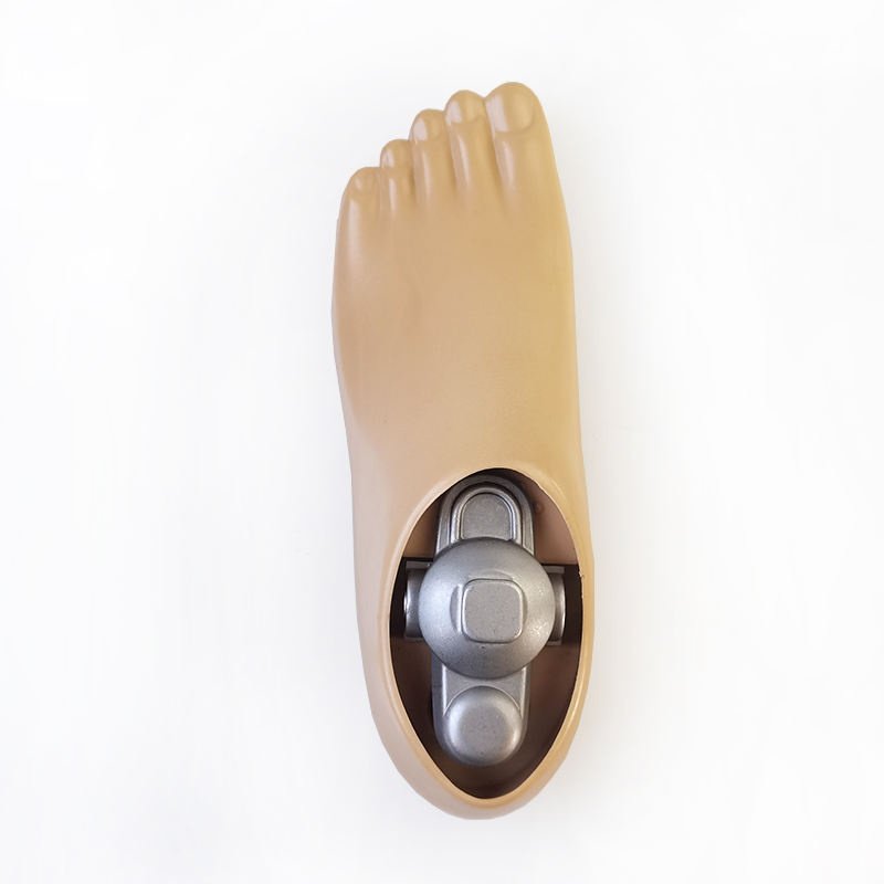 Prosthetic Double Axis Foot